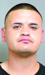 Lucky Turtle bandits go to prison – Frio-Nueces Current